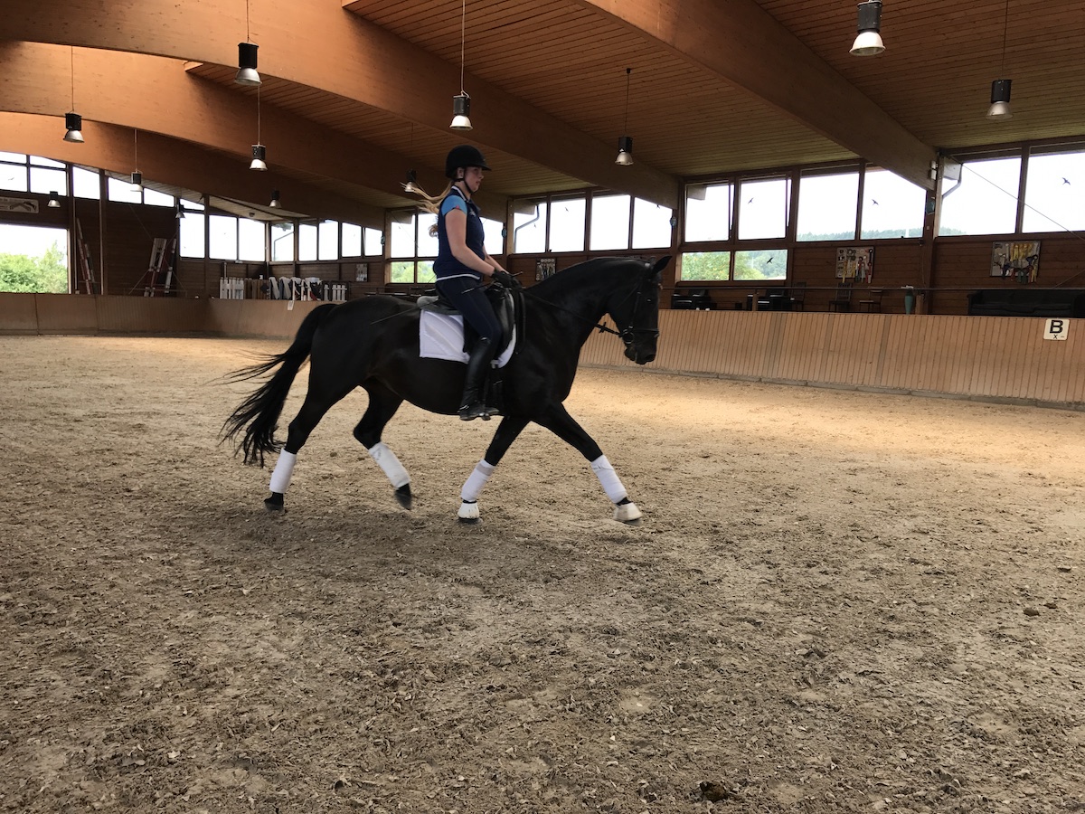 Ruby Dawn - HIPPO Promotion GmbH